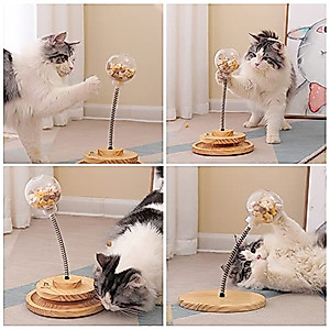 Marchul Cat Food Toy Interactive Cat Toys for Indoor Cats Double 2-Layer Circle Ball Track with Cat Sping Treat Ball Automatic Cat Toy Slow Feeder Treat Toy