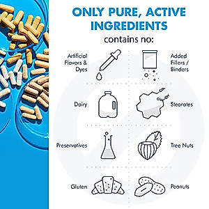 Metabolic Maintenance Potassium Magnesium Citrate - Highly Bioavailable Mineral Supplements - Supports Cardiovascular, Nerve + Bone Health - No Fillers (250 Capsules)