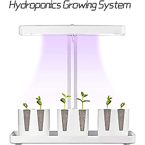 Aooccder Seed Starter Grow Sponges for Aerogarden, PH-Balanced Refill-Seed Pods Replacements for Indoor Hydroponic System,50 Pack, Brown