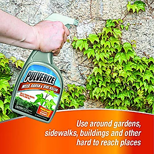 Pulverize PWBV-C-032, Brush Killer Concentrate Fast Acting, Non-Staining Weed Vine, 32 Ounce
