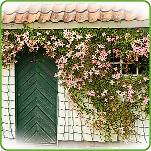 De-Bird: Trellis Netting for Climbing Garden Plants, Grow Garden Flowers, Green Pea and Vine Plants