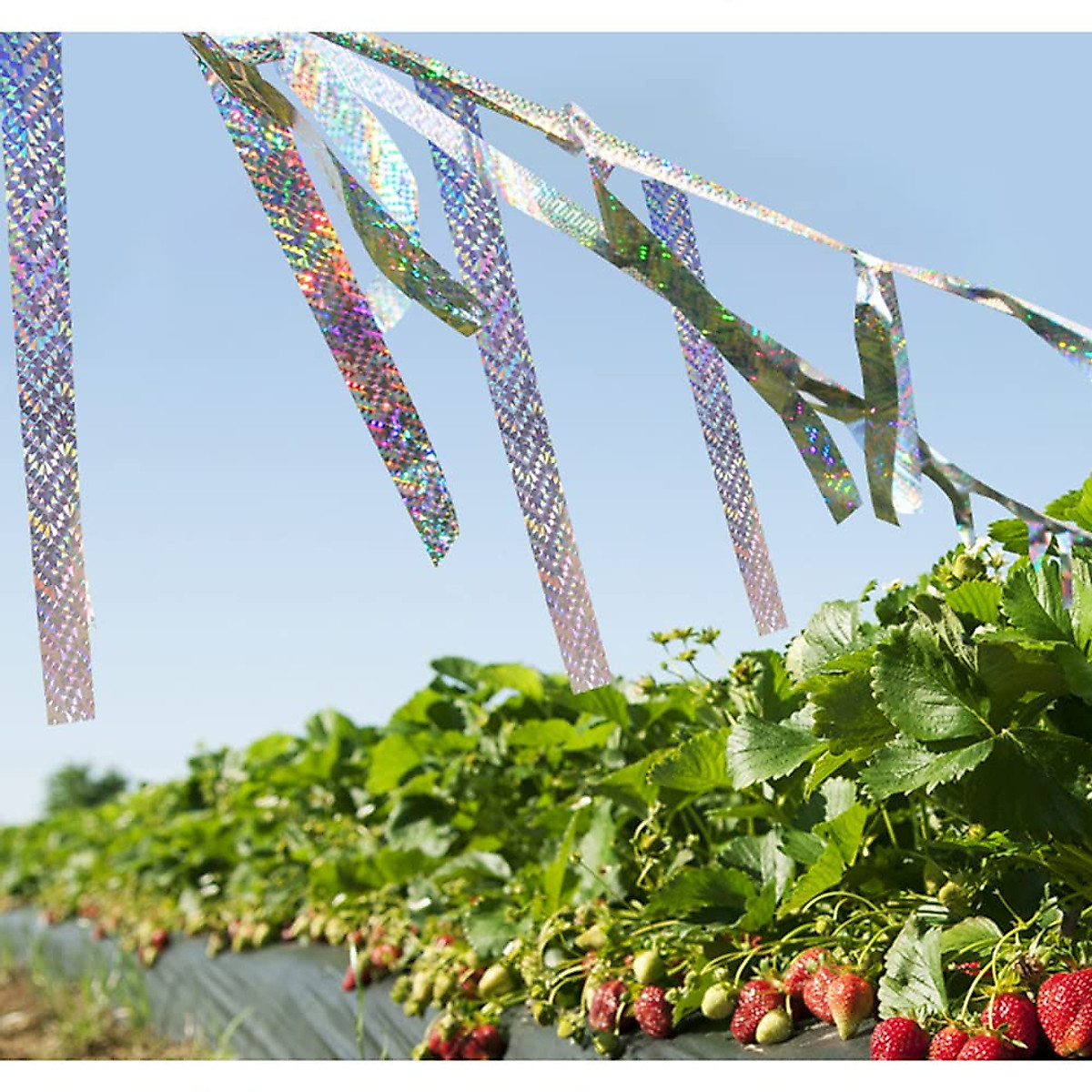 Bird Scare Ribbon Double Sided Holographic Reflective Ribbon Tape to Keep Away Woodpecker, Pigeon, Hawks, Grackles Bird (0.9in x 260ft)