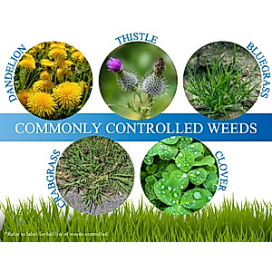 Liquid Harvest Mesotrione - 32oz - Mesotrione Concentrate (Compare to Tenacity) - Pre and Post-Emergent Weed Killer for Lawn and Turf Grasses