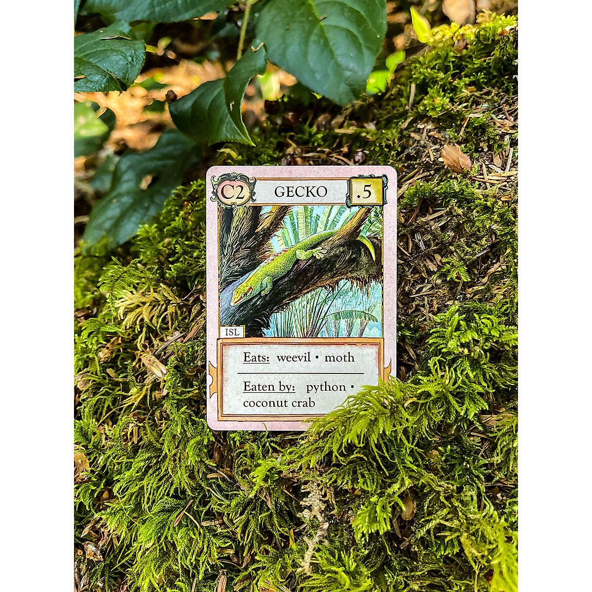 Montrose Biology Ecologies: Hidden Habitats - Use Science to Build Food Webs in 7 Biomes - Beautiful Vintage Nature Art for The Classroom or Game Night