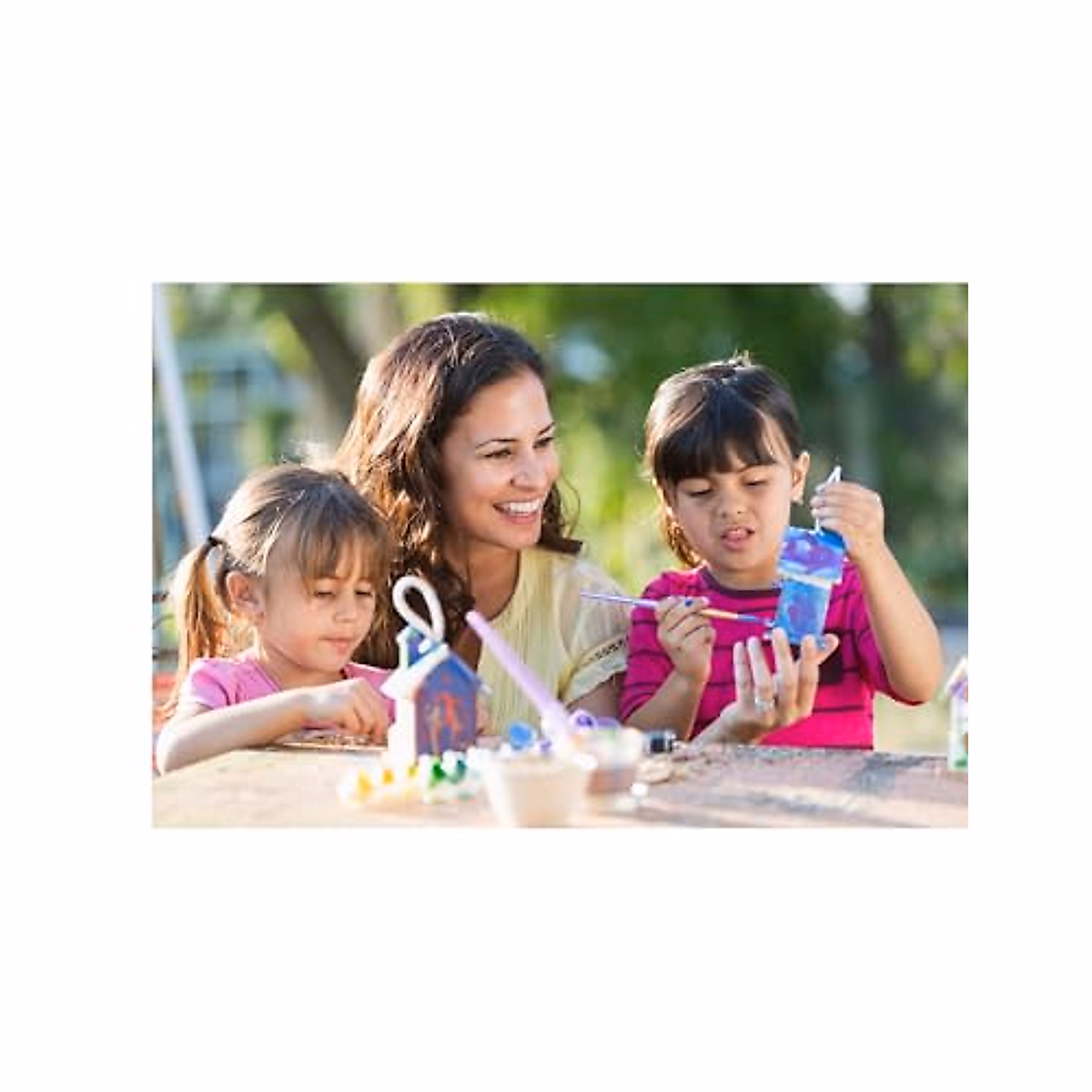 Oojami Design Your Own Wooden Birdhouses 12 Bird House Bulk (Modern)