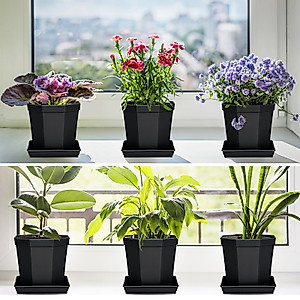 LWALRS Square Plant Saucer 6 8 10 12 14 16 18 20 Inch 5 Pack, Plastic Plant Saucers, Plant Water Dray Tray, Garden Planters for for Pots Base Indoors and Outdoors Plants（6 inch Black）