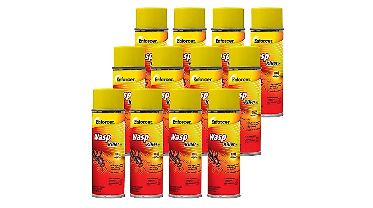 Enforcer Wasp & Jacket Foam - Effective 20 ft Spray