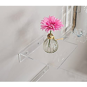 8" Long Clear Floating Shelf (14" deep)