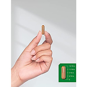 Turmeric Curcumin with Black Pepper | 2000 mg 90 Capsules | Non-GMO, Gluten Free Supplement | by Horbaach