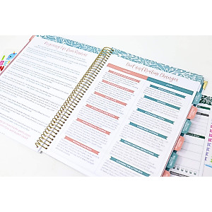 bloom daily planners New Pregnancy and Baby's First Year Calendar Planner & Keepsake Journal with Stickers - Hardcover Scrapbook Memory Book Organizer - Undated - 8” x 10" - Green & Pink