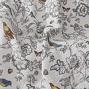 Levtex Home - Mockingbird - Quilted Throw - 50x60in. - Grey Toile with Birds and Butterflies - Reversible Pattern - Cotton