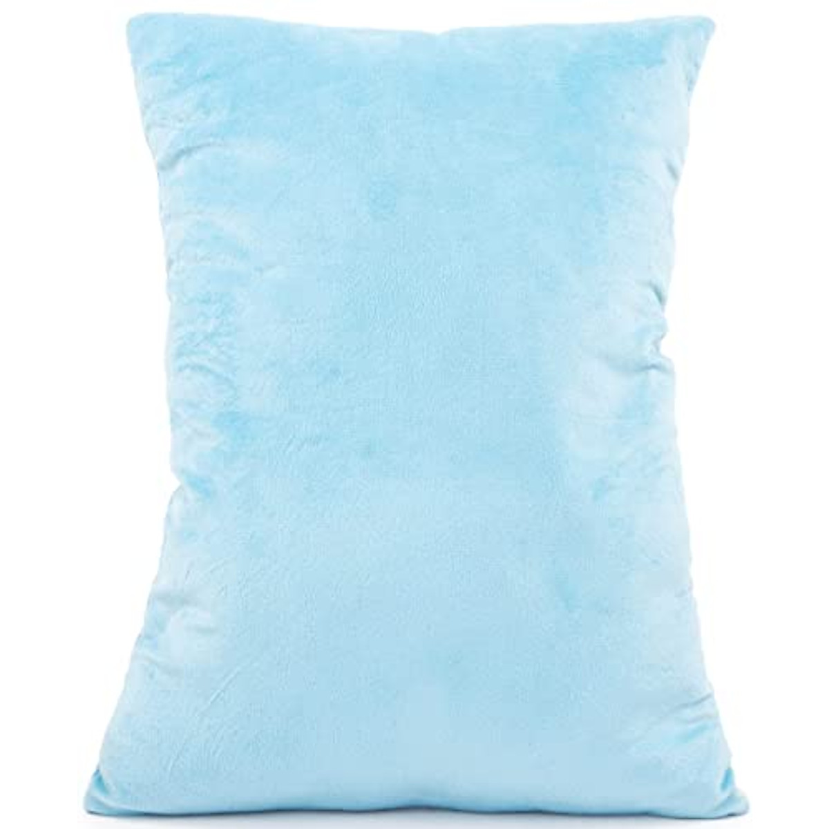 Bluey Snuggle Pillow - Super Soft Plush Decorative Throw Pillow - Measures 15 Inches (Official Bluey Product)