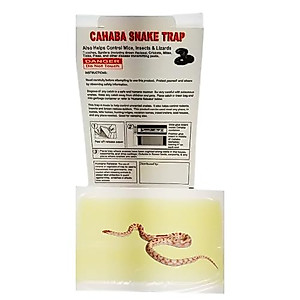 Small Cahaba Snake Trap W/ 3 Catch Inserts