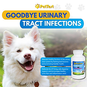 Pet Supplies D Mannose with Cranberry for Dogs and Cats UTI Urinary Tract Support Prevents and Eliminates Bad Bacteria - Bladder Kidney Supplement for Pets by Advocate PetTest (90 Count)
