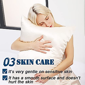BIGHAS 100% Mulberry Silk Pillowcase for Hair and Skin with Hidden Zipper, Soft Breathable Natural Both Side 19 Momme Silk, 600 Thread Count (Beige, Standard)