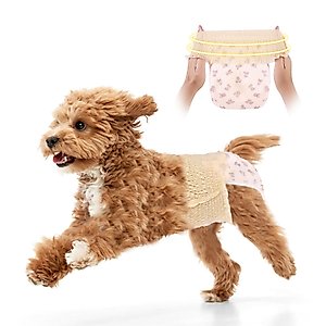Dog Diapers Female, Disposable Diapers for Female Dog with Stretchy Waist, Pull Up Puppy Wraps for Doggie in Heat Period Super Absorbent Leak-Proof Doggy Diaper for Dogs 30PCS (XL)