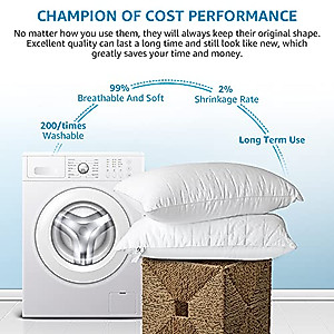 NEIPOTA Pillows Standard Size Set of 2, Standard Pillows 2 Pack 20 x 26, Cooling Side Sleeper Pillow Hotel Bed Pillows & Positioners, Gel Fiber Hypoallergenic Bed Pillow for Sleeping Twin Washable