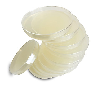 Nutrient Agar Plates by Evviva Sciences, Prepoured Nutrient Agar Petri Dishes for Science Fair Projects & Microbiology Experiment, Helps Microorganisms Thrive - Swabs Not Included