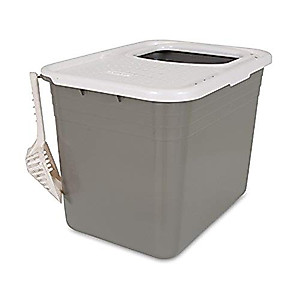 Petmate Top Entry Litter Cat Litter Box With Filter Lid To Clean Paws