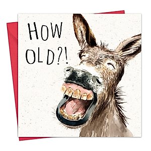 Twizler Funny Birthday Card with Donkey – Funny Card Birthday – Happy Birthday Card – Funny Birthday Card Men – Funny Birthday Card Women – Funny Birthday Card For Him – Funny Birthday Card For Her
