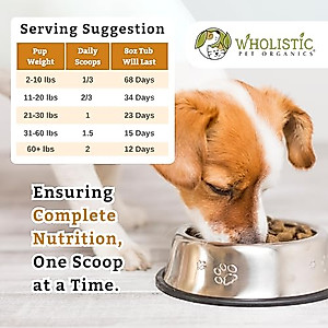 Wholistic Pet Organics Puppy Essentials - 8 Oz - Organic Pumpkin Powder Dog Supplement for Skin & Coat Health, Itching Relief, Omega 3 & Probiotics - Vitamins for Immune Support, Dog Food Additive