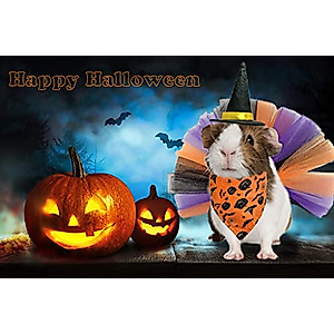 CooShou 3Pcs Guinea Pig Halloween Costume Small Animals Witch Hat Halloween Bandana Triangle Scarf for Guinea Pig Chinchilla