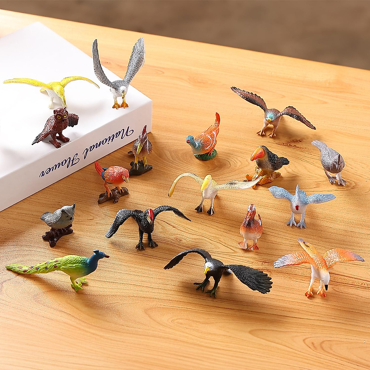 HOMNIVE Birds Figurines, 23pcs Realistic Eagle Parrot Robin Owl Toy Bird, Fairy Garden Accessories, Learning Educational Toys for Dollhouse Birthday Cake Topper Gift for Kids Toddler