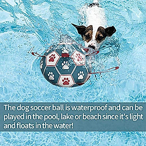 QDAN Dog Toys Soccer Ball, Interactive Dog Toys for Tug of War, Puppy Birthday Gifts,Dog Tug Toy, Dog Water Toy, Durable Dog Balls for Small & Medium Dogs-Blue&Red(6 inch)