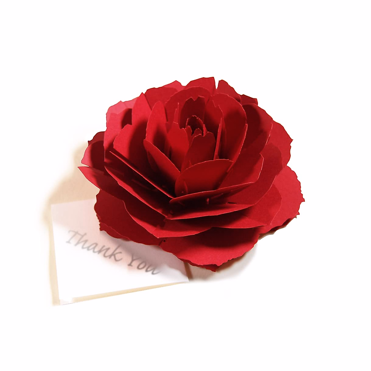 Blooming Flower Pop-up Greeting Card, Birthday Card, Mother's Day, Christmas Card, Sympathy Card, All Occasion (Red Rose)