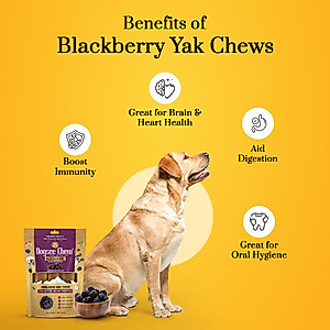 Dogsee Himalayan Yak Cheese Chews with BlackBerry 1lb (Large - 4 Chews) | Rich in Antioxidants | Fight Plaque & Tartar | Long Lasting Dental Dog Chews