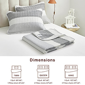 Joyreap 3-Piece Cotton Quilt Set King, Light Gray Penicl Line Stripes Printed on White, Smooth Soft Quilt Bedspread Bed Cover for All Season- 102x90 inches