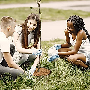 ZeeDix 3 Pcs Coconut Fibers Mulch Ring Tree Protector Mat,11.8 Inch 100% Natural Coco Coir Tree Protection,Tree Ring Mats Tree Disc Plant Cover for Indoor or Outdoor