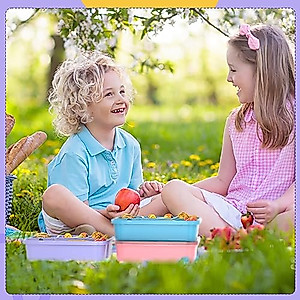 RGNEIN Bento Lunch Box and Snack Containers - 4 Compartments, Durable and Safe Lunch Containers for Adults Kids with Transparent Lid, Microwave Safe, BPA free - Set of 4 (PP (Green/Blue/Pink/Beige))