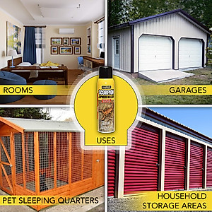 HARRIS Scorpion and Spider Killer, 16oz Aerosol with 6 Week Residual Kill