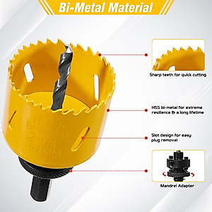 KATA Bi-Metal Hole Saw Kit, 18 Piece M42 Steel Hole Saw Set with 3/4" -2-1/2" (19-64mm), General Purpose Hole Saw Blades in Case with Mandrels, Drill Bit, Hex Key for Thin Metal, Hard Wood, Drywall