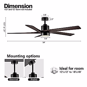 WINGBO 54 Inch DC Ceiling Fan with Lights and Remote Control, 5 Reversible Carved Wood Blades, 6-Speed Noiseless DC Motor, Modern Ceiling Fan in Matte Black Finish with Walnut Blades, ETL Listed