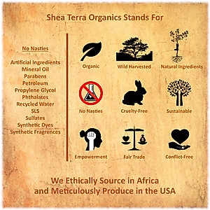 Shea Terra Egyptian Black Seed Cold Pressed Extra Virgin Oil | All Natural & Organic Oil to Boost Immune System, Improve Hair Growth & Skin Tone, Manage Dry Skin, & More - 8 oz