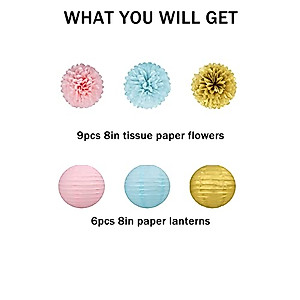Gender Reveal Decorations Blue Pink - 15pcs Tissue Paper Flowers Pom Poms Lanterns Baby Gender Reveal Party Supplies Gender Reveal Theme Decor Gold Birthday Hanging Decor Ideas