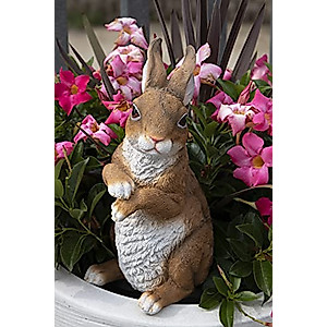 CLEVER GARDEN Rabbit Garden Statue Outdoor Décor, Resin Figurine Decoration for Lawn, Yard, Patio, Porch, and More