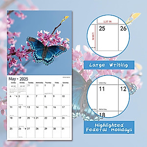 2024 2025 Wall Calendar, 18 Months July 2024 - December 2025, Wall Calendar Colorful Butterfly, 12" x 24" Opened,Full Page Months Thick & Sturdy Paper for Gift Perfect Calendar Organizing & Planning