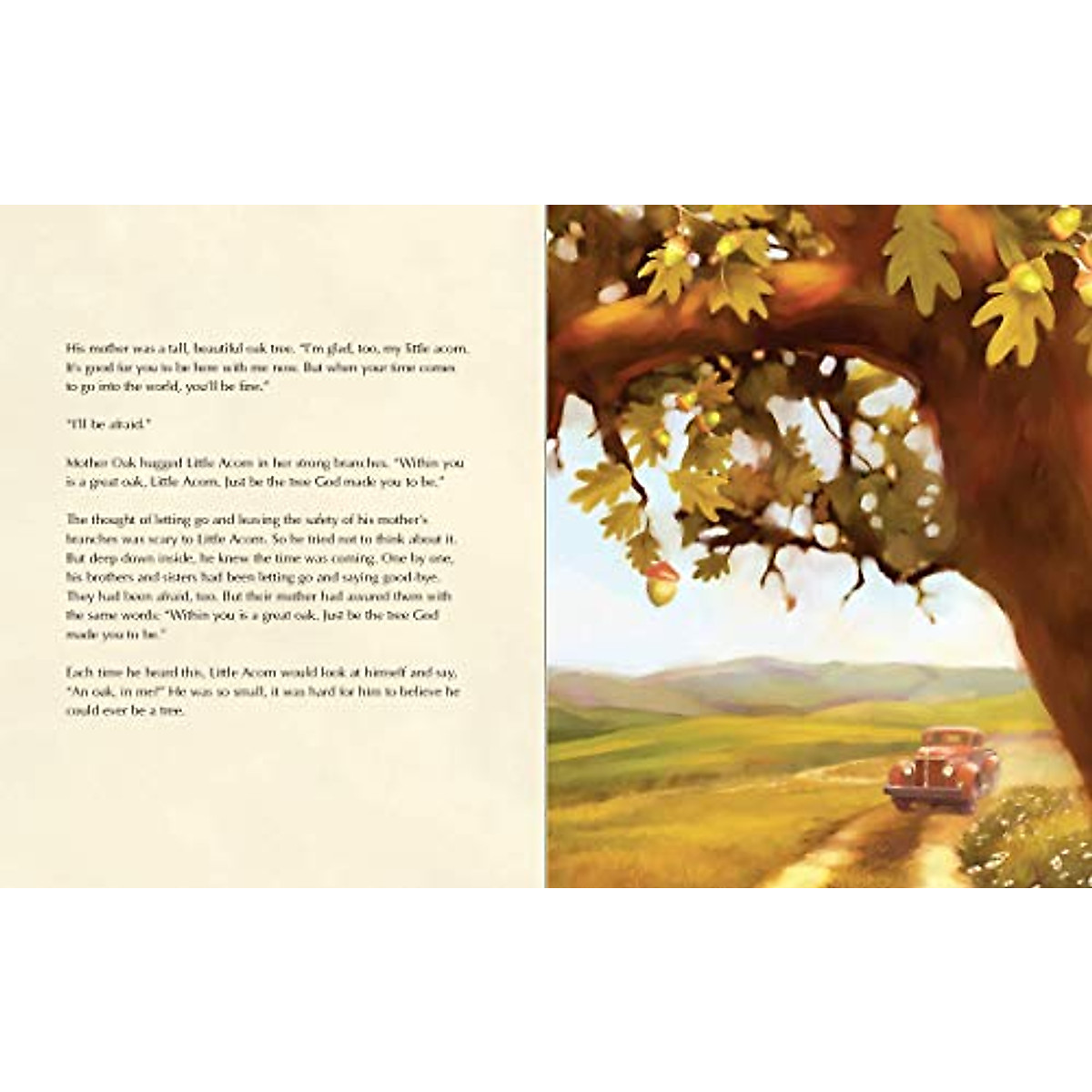 The Oak Inside the Acorn