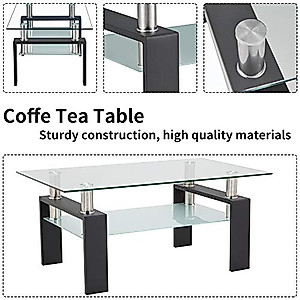 Depointer Life Glass Coffee Table, Rectangle Modern Side Coffee Table with Lower Shelf, Perfect for Living Room Conversation Leisure Occasions, Metal Leg, Black