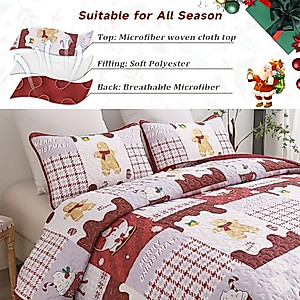 Drucon Christmas Quilt Set King Reversible Christmas Deer Snowflake Pattern Red Deer Plaid Patchwork Bedding Quilt Coverlet with 2 Pillowshams for All Season 104"x90"
