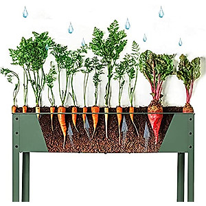 Raised Garden Bed for Vegetables Elevated Planter Box with Legs Outdoor Patio Flower Herb Container Gardening