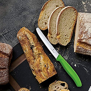 Victorinox Swiss Classic 4.3-inch Wavy Edge Tomato and Table Knife, Green