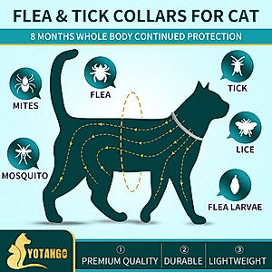 4 Pack Flea Collar for Cats, Cat Flea and Tick Collar 8 Months Cat Flea Collar Treatment Prevention, Adjustable Waterproof Cat Flea Collar Kitten Natural Tick and Flea Collar for Cat 4 Color
