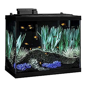Tetra ColorFusion Aquarium 20 Gallon Fish Tank Kit, Includes LED Lighting and Decor