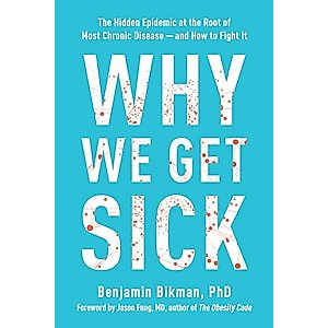 Why We Get Sick: The Hidden Epidemic at the Root of Most Chronic Disease--and How to Fight It