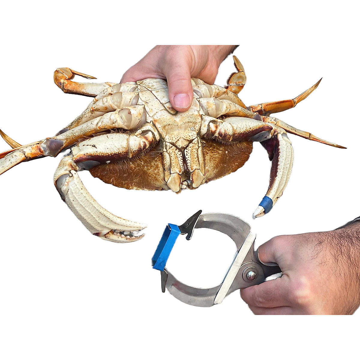 AirFly Crab, Lobster Claw Rubber Band Pliers (Bands not Included)