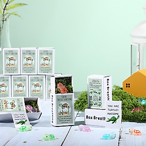 Wonderjune 36 Sets Christmas Employee Appreciation Gifts Bulk Emotional Support Cheer Gifts Christmas Small Gifts for Coworkers Inspirational Mail Positive Gifts for Team Staff (Turtle)